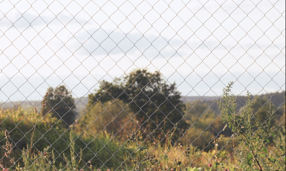 Carnarvon cell fence funding boost - Get Regional