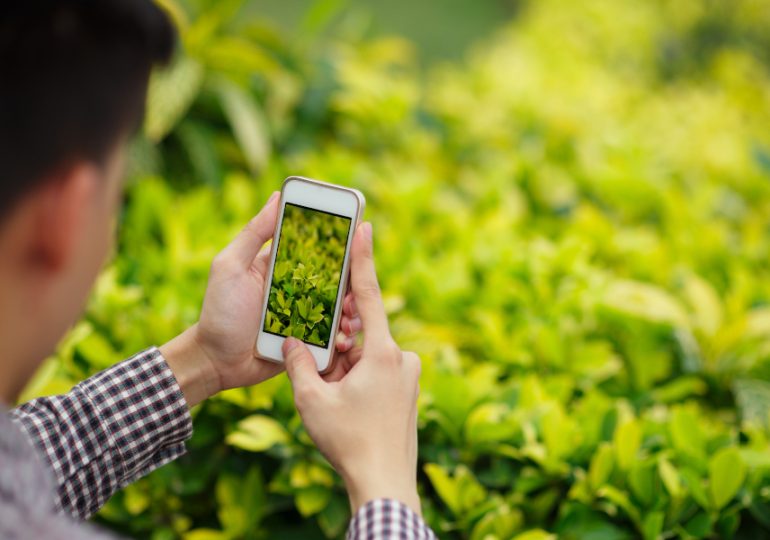 Spotted something unusual? Now what? - Get Regional