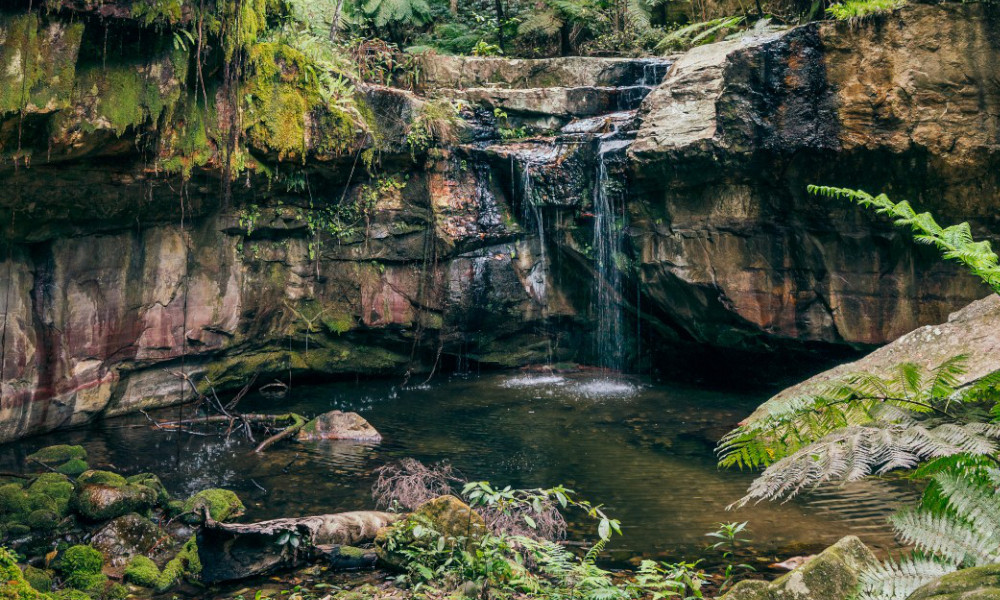 Central Highlands Regional Council renews Reef Guardian commitment ...