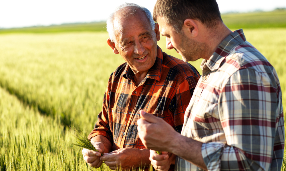 New training supports grains industry workers - Get Regional