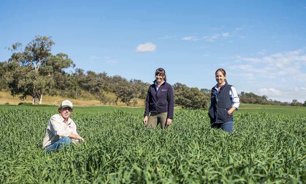 Community opportunities with Central West LLS - Get Regional