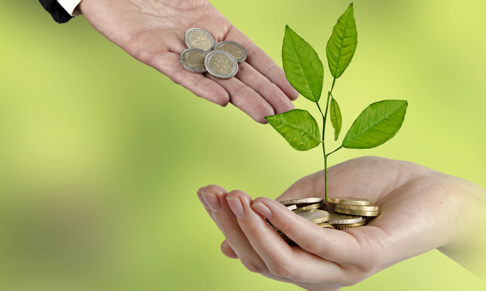 Backing the next generation of smart farmers - Get Regional