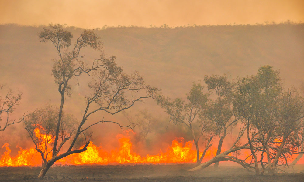 Bushfire recovery still front and centre, with new grants program to ...