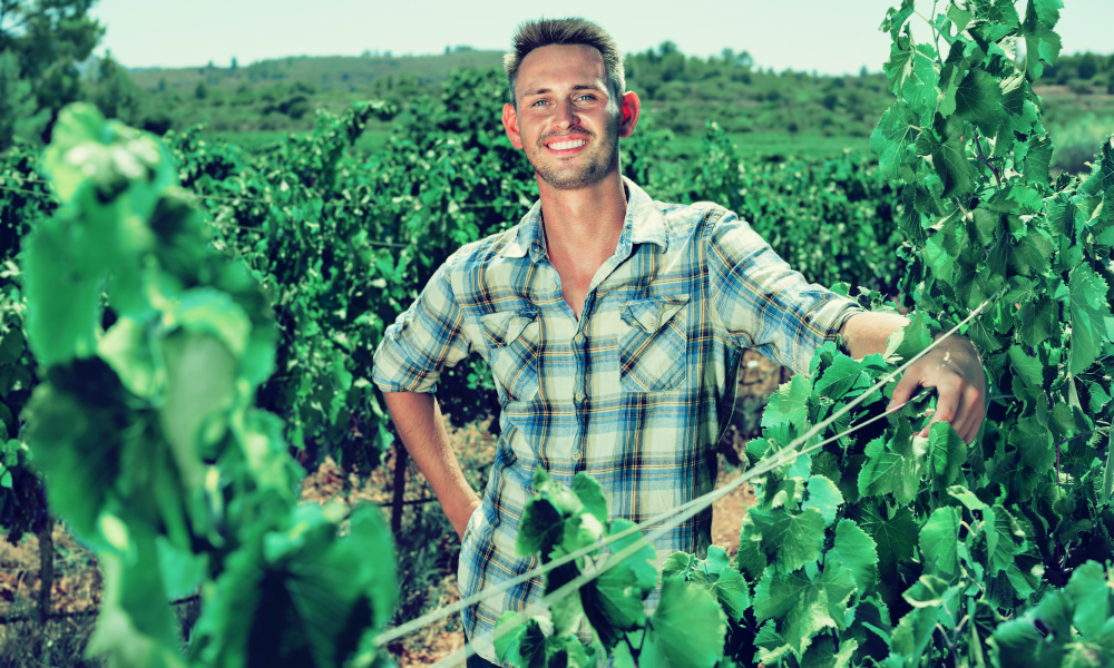 New training to boost horticulture workforce - Get Regional